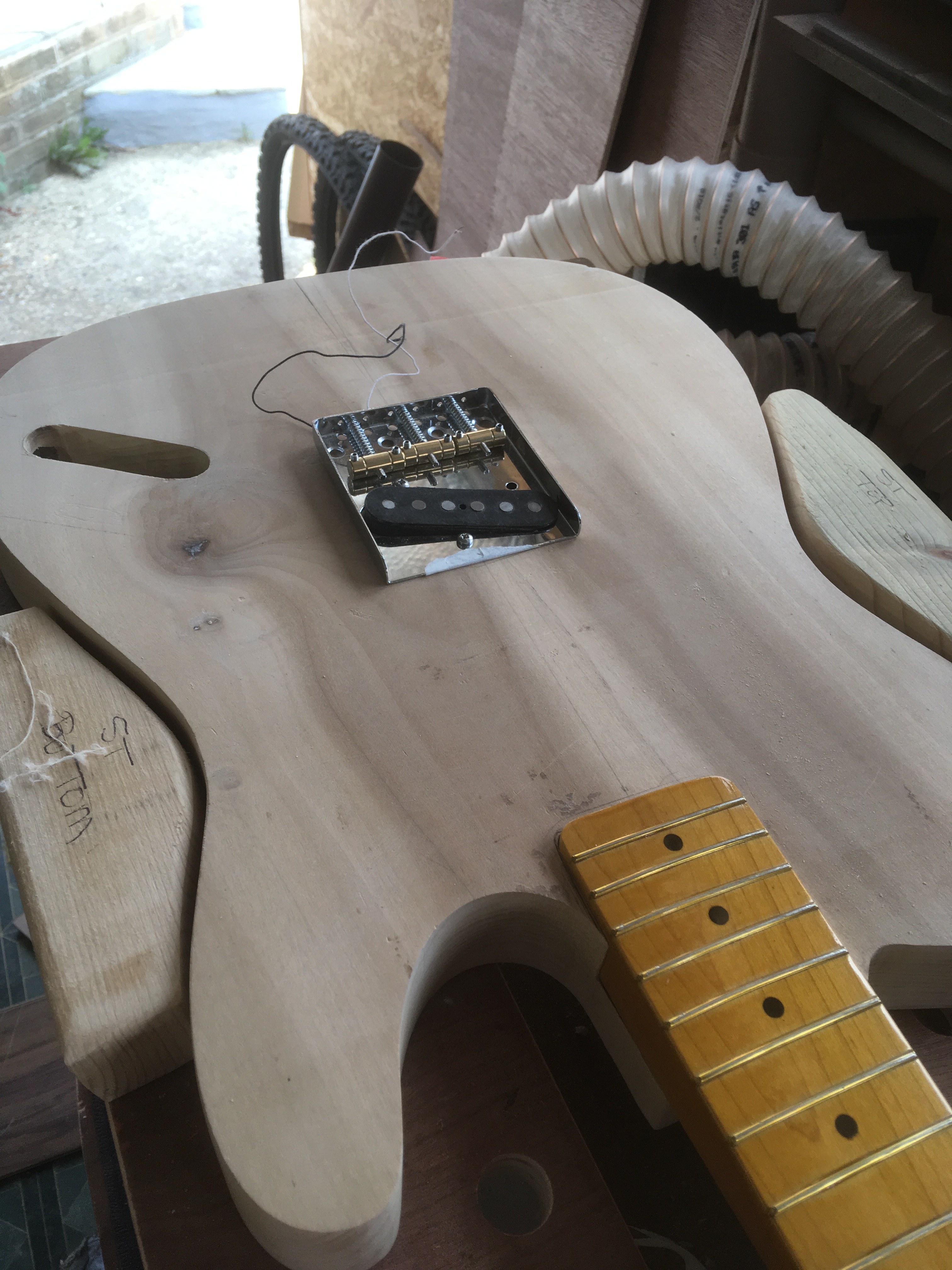 49 Snake Head Prototype – Lucerne Guitars